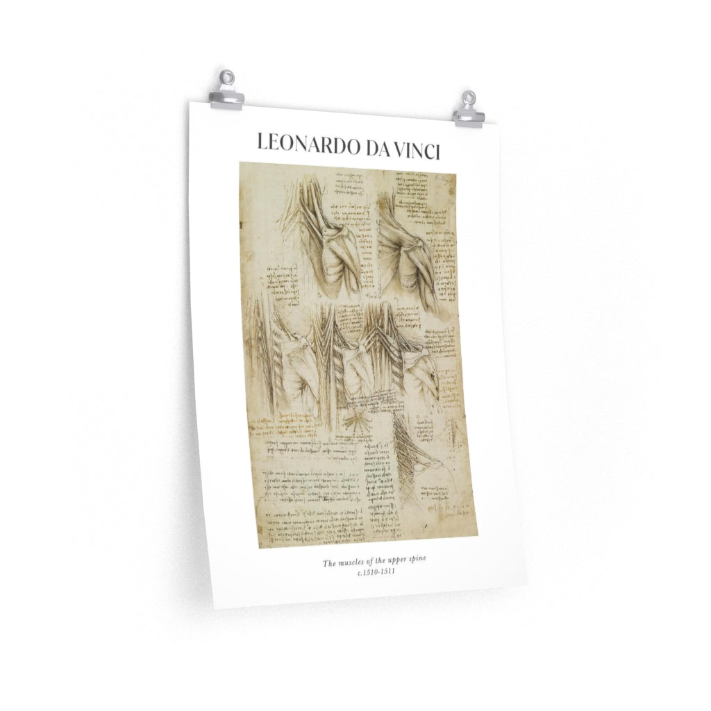 Leonardo da Vinci - The muscles of the upper spine - Poster – Murellos